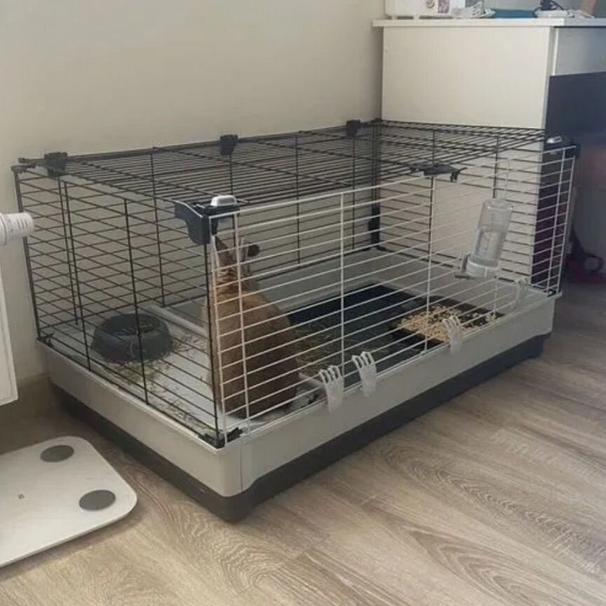 Клетка для кролика ferplast