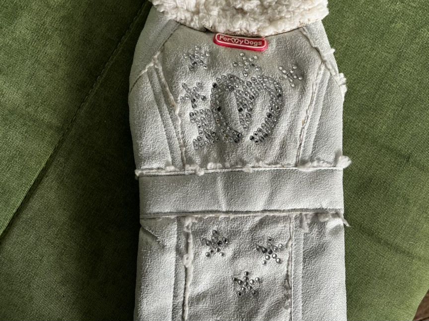 Одежда для маленьких собак xs демисезон