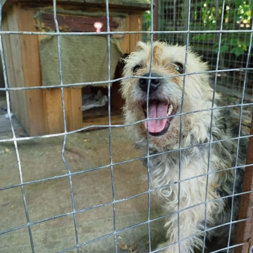 Выбери меня пожалуйста