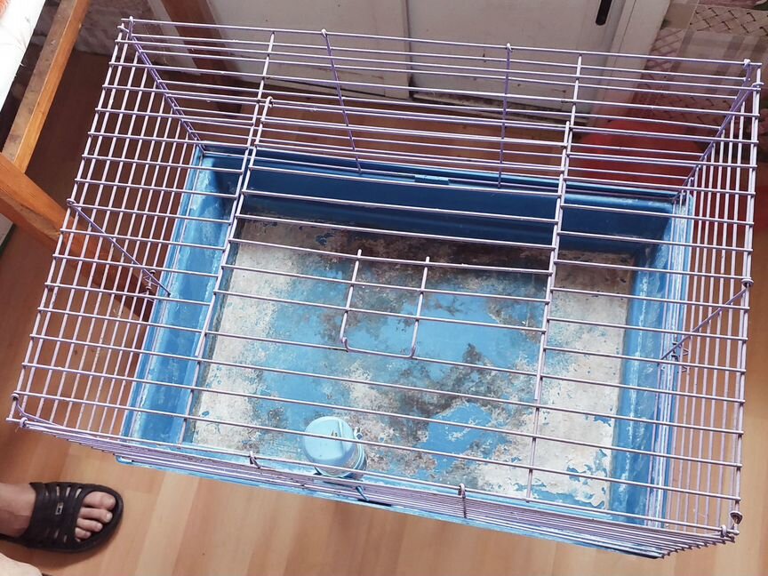 Продам клеткку