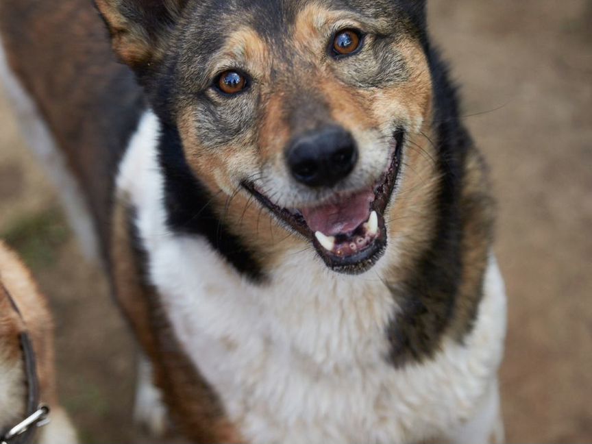 Самый обаятельный и привлекательный мужчина, в дар