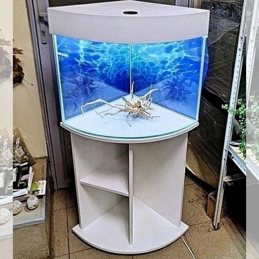Аквариумы от 50 до 120 литров