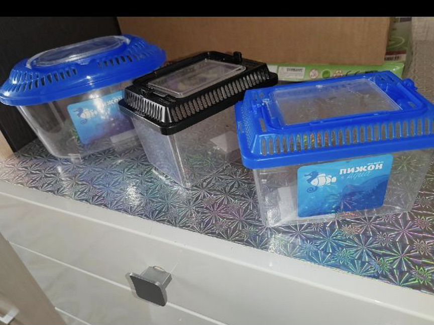 Контейнер для переноски