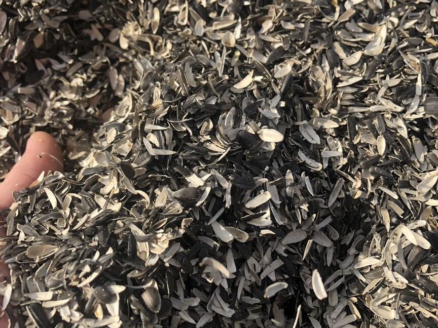 Лузга подсолнечника(шелуха)