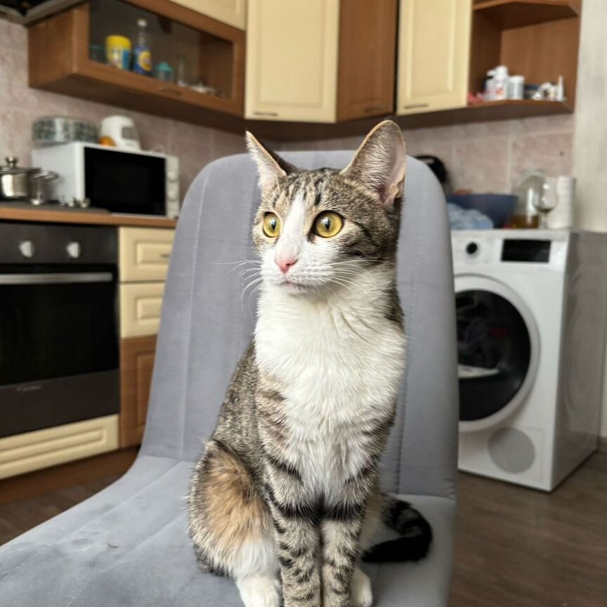 Девочка, умничка, ласковая 10 мес