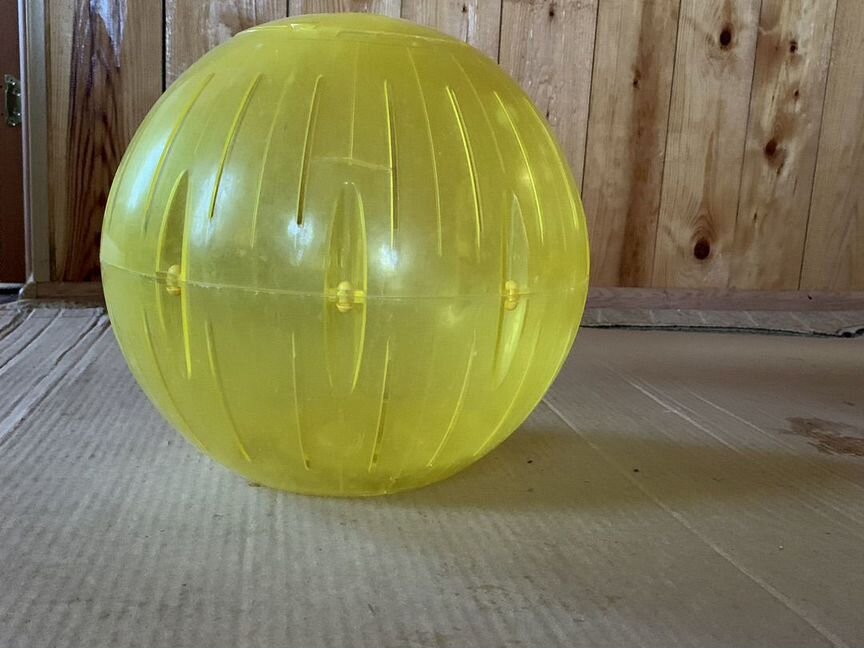 Шар для грызунов