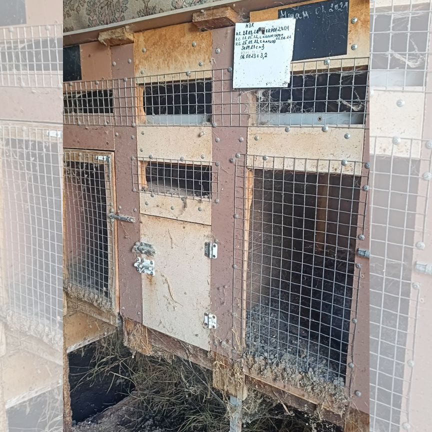 Клетки для кроликов