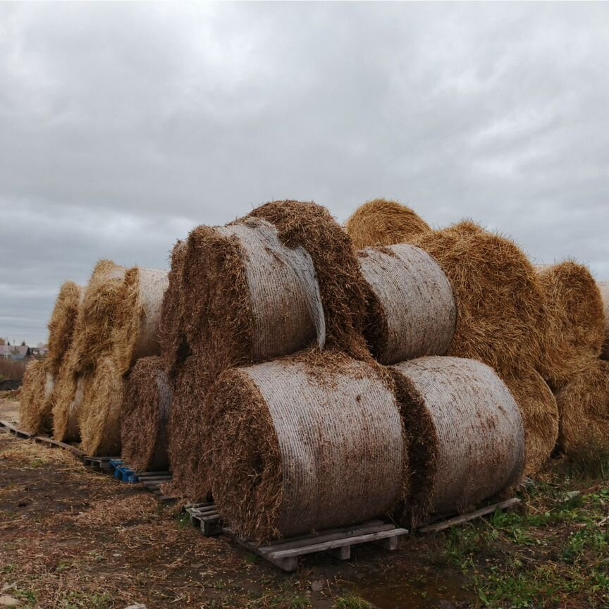 Продам солому в рулонах