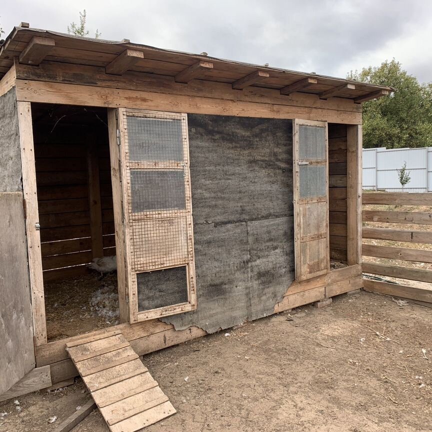 Курятник птичник 2*4