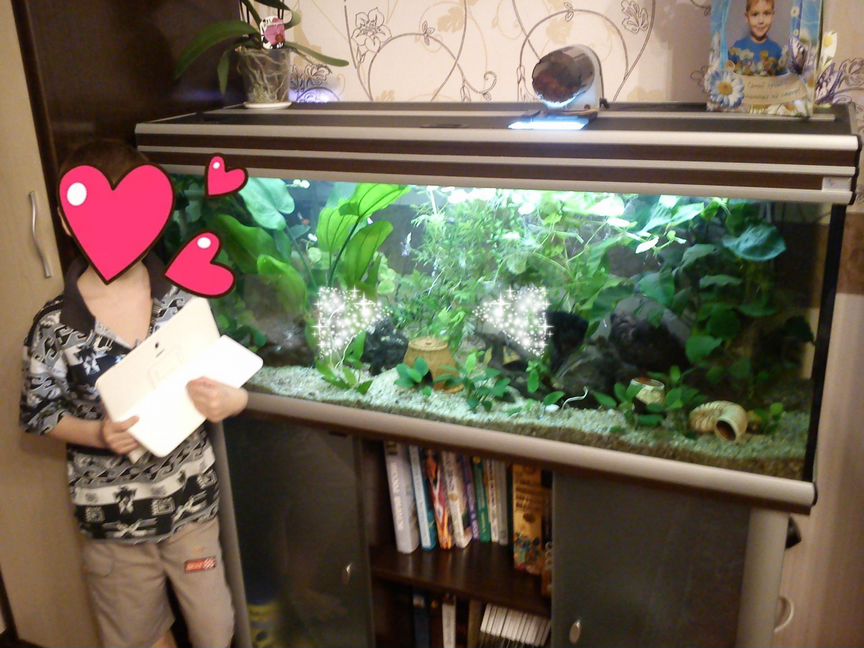 Аквариум с тумбой и рыбками