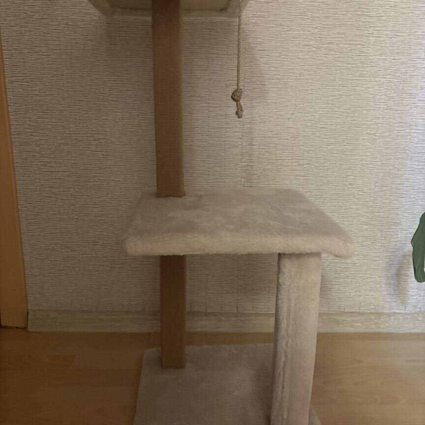 Когтеточка