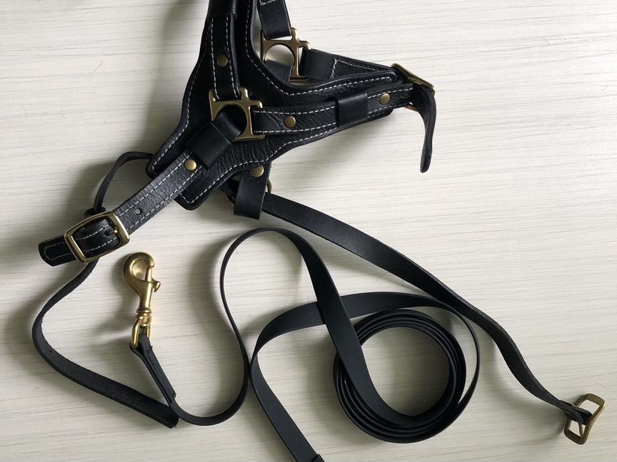 Шлейка кожаная + поводок из биотана
