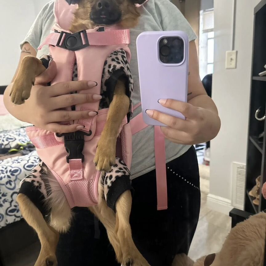 Переноска для собак и кошек