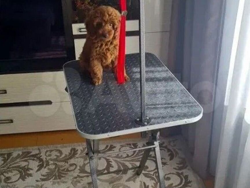 Стол для груминга собак и кошек, складной