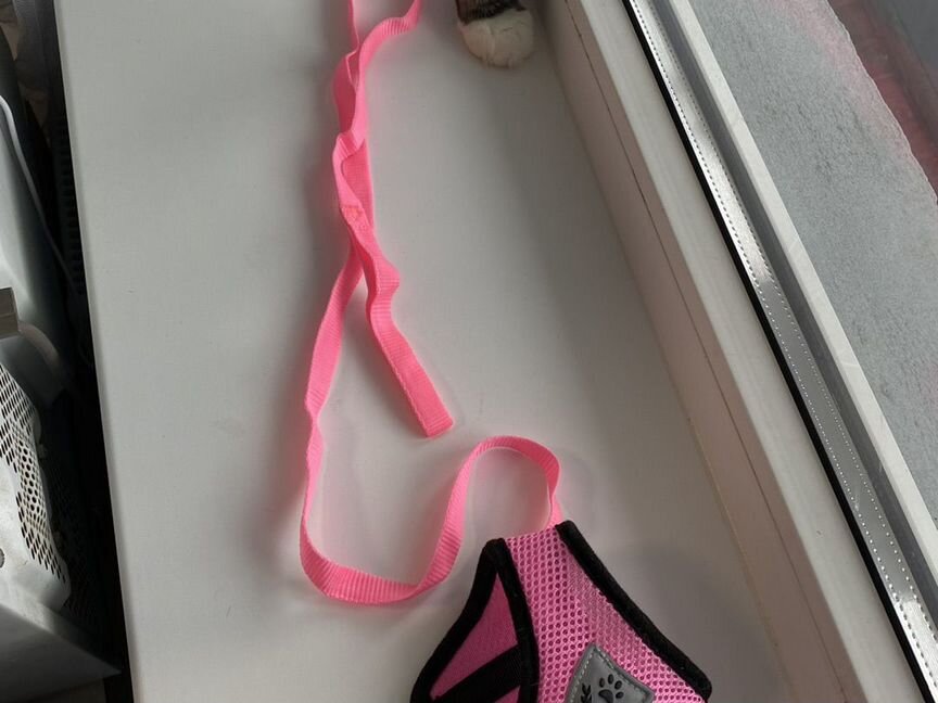 Шлейка для кошки