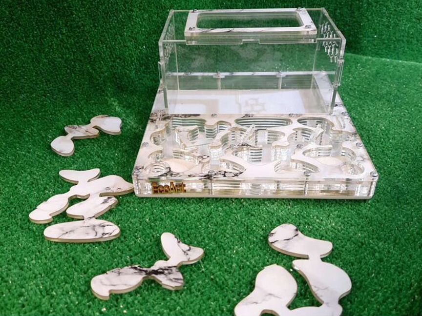 Муравьиная ферма, формикарий, муравьи жнецы