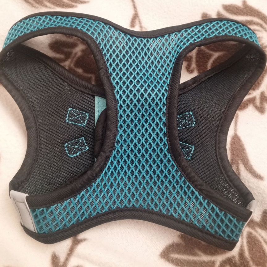 Шлейка для маленькой собаки L новая