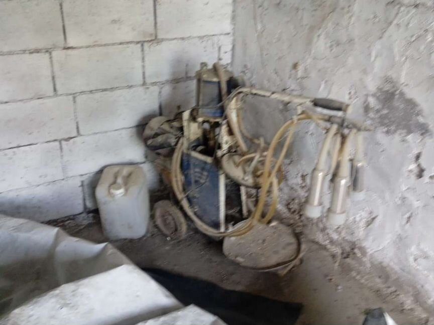 Продам дойный опорат