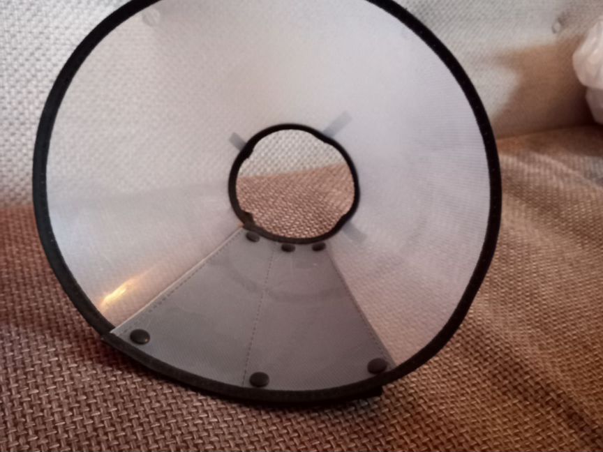 Ошейник для собак послеопарационный