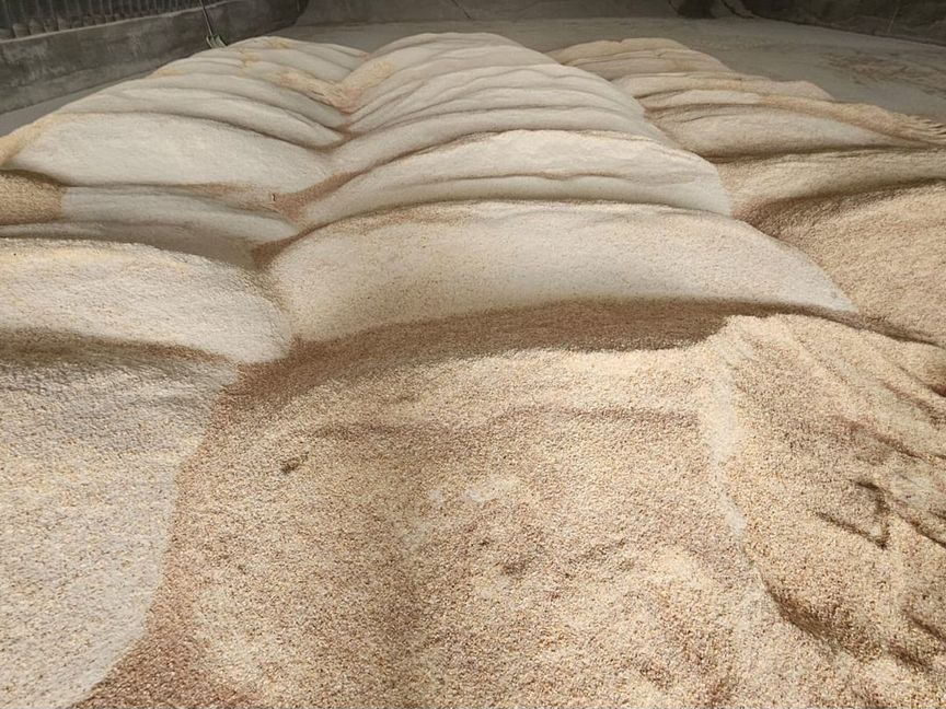 Зерноотходы кукурузы