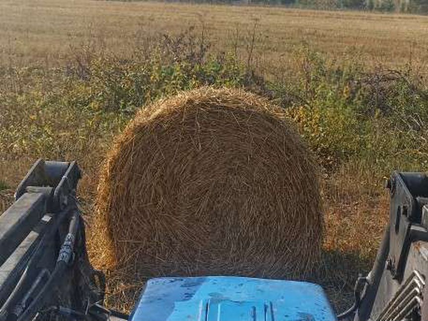 Сено/солома