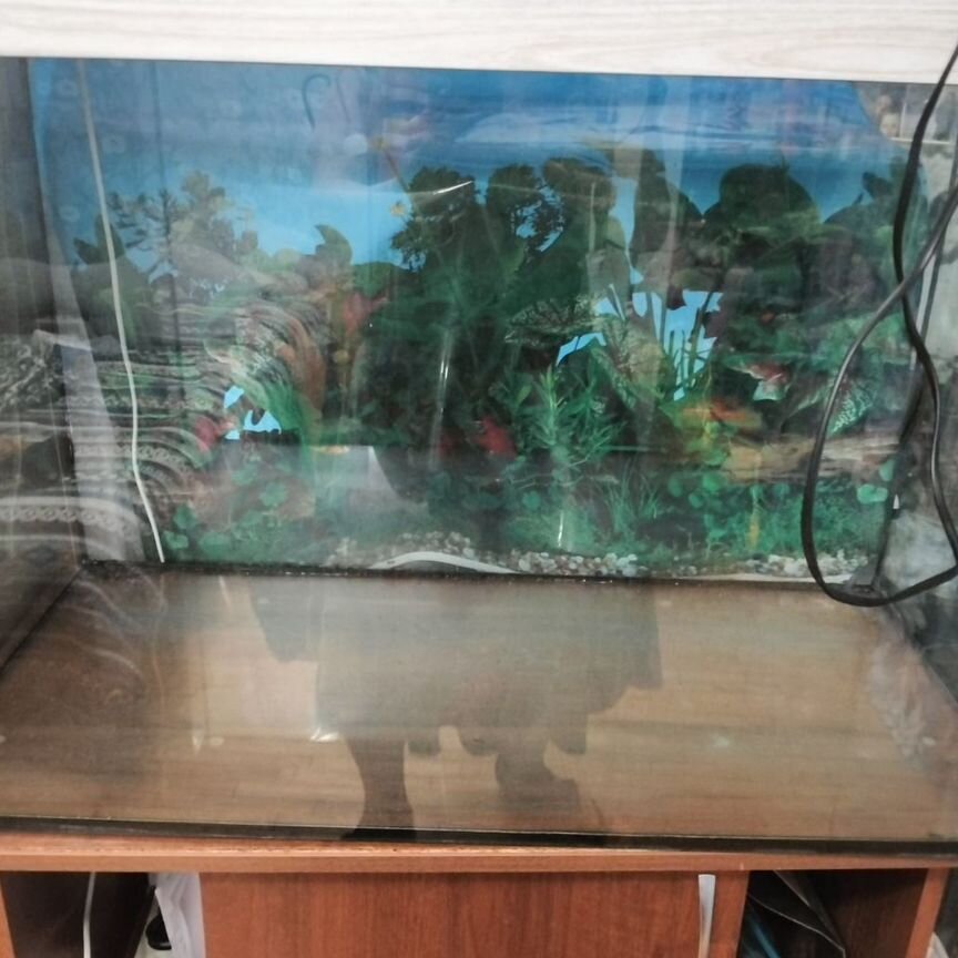 Аквариум 160 литров с тумбой