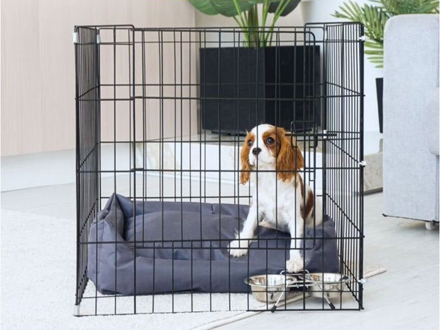 Вольер, коврик, миски, сумка, лоток