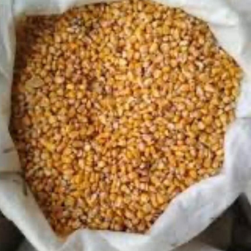 Продам кукурузу