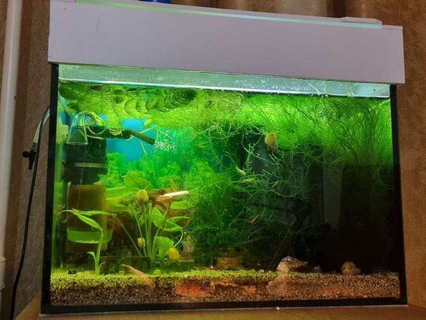 Украшение для аквариума