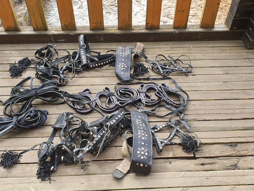 Сбруя парная для пони