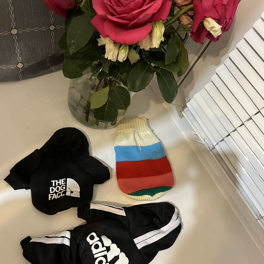 Одежда для собак