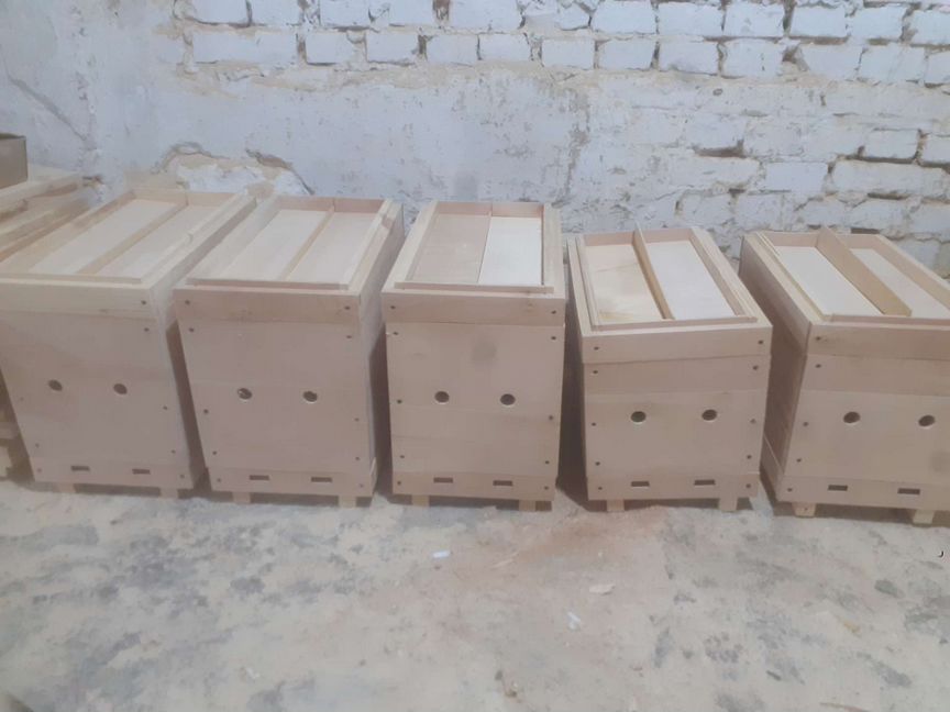 Нуклеус улей