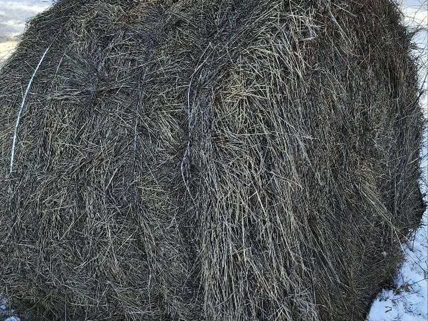 Сено разнотравие