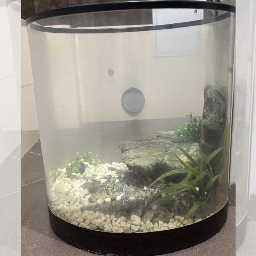 Аквариум для черепах 50 литров