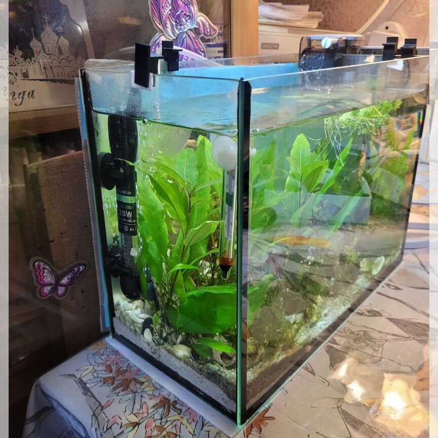 Аквариум 10 литров 34х26х17