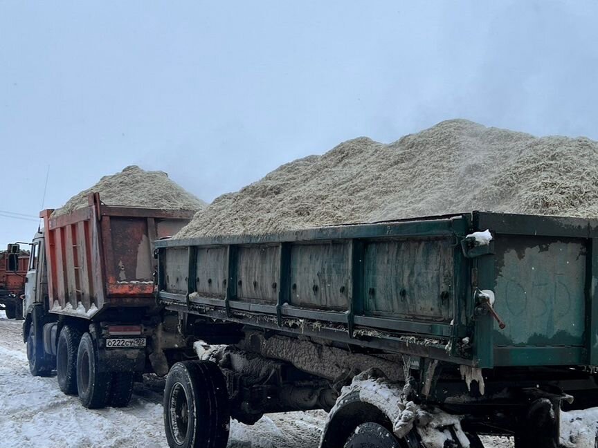 Жом свекловичный