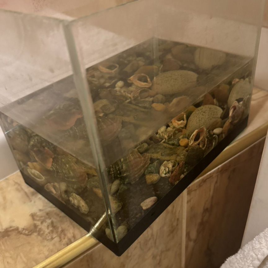 Аквариум с аэратором