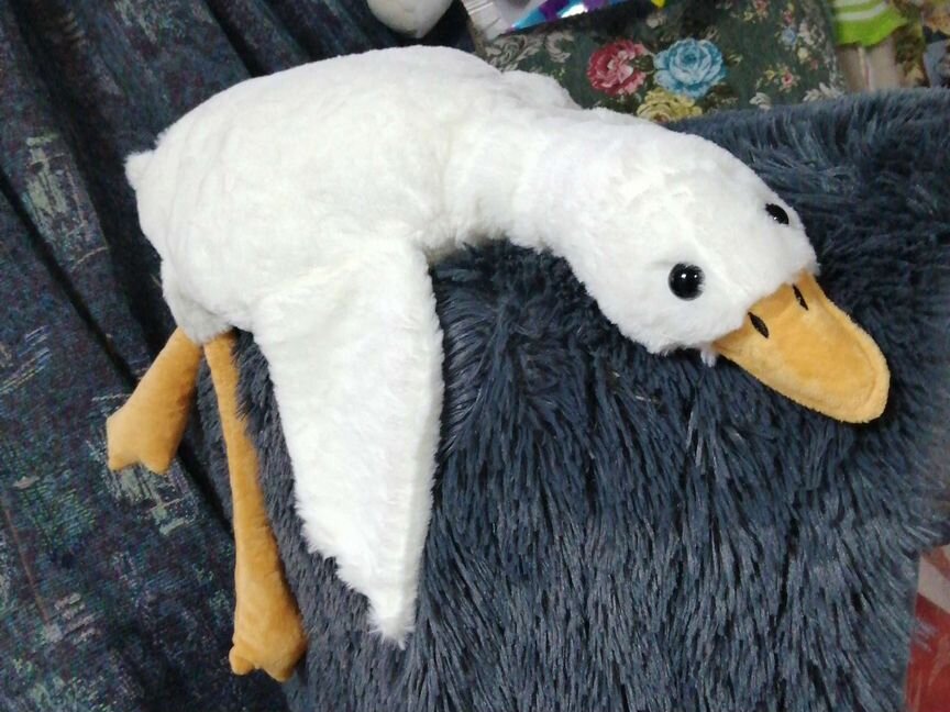 Гусь обнимусь