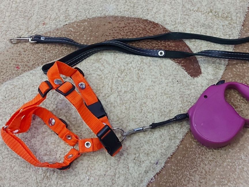 Шлейка(новая ),рулетка 5м,кожаный поводок (новый )