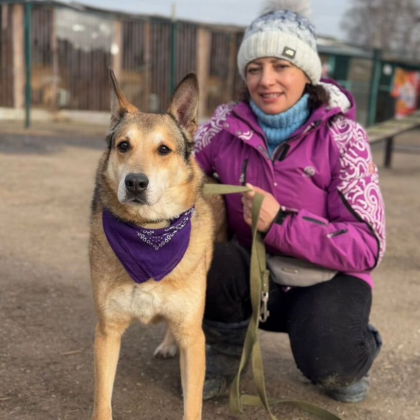 Хьюго. Добрый пес в добрые руки