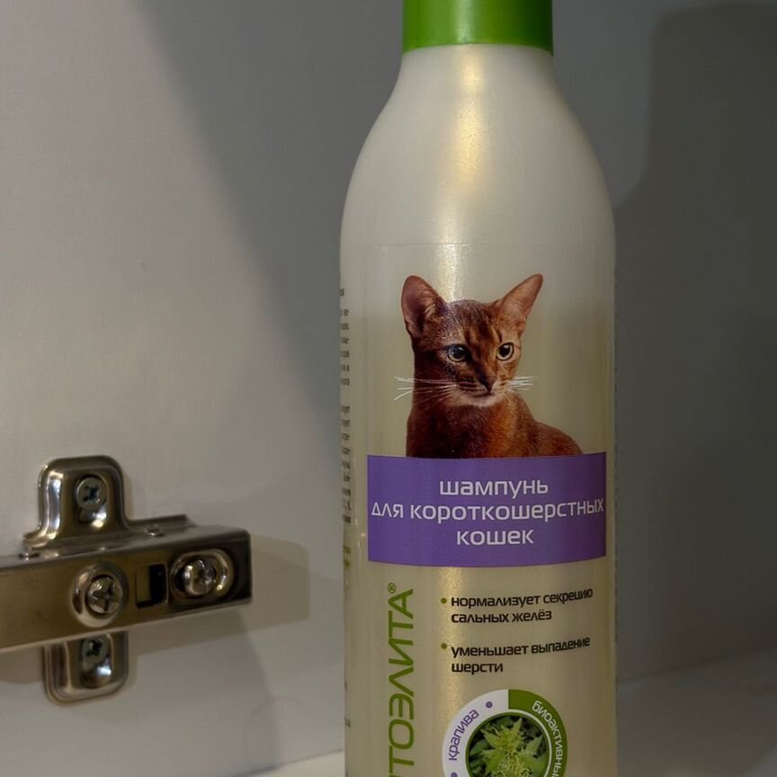 Шампунь для короткошерстных кошек
