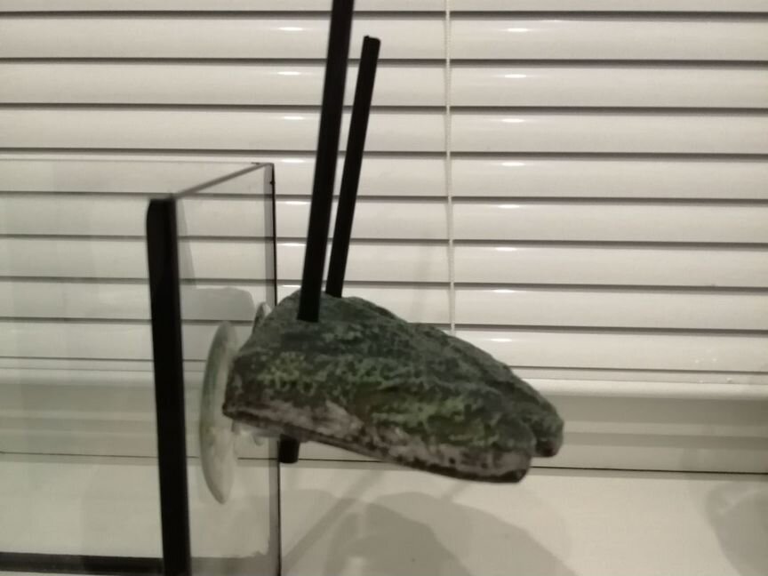 Островок для черепахи