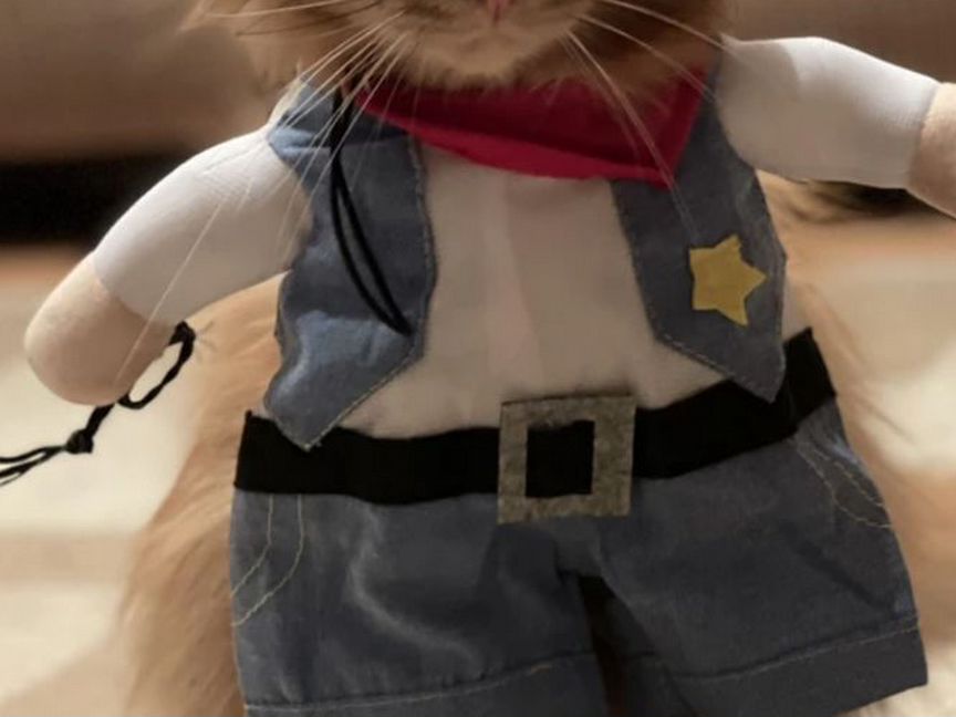 Костюм для кошки