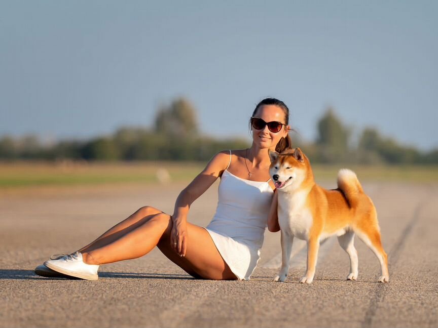 Шиба сиба ину вязка