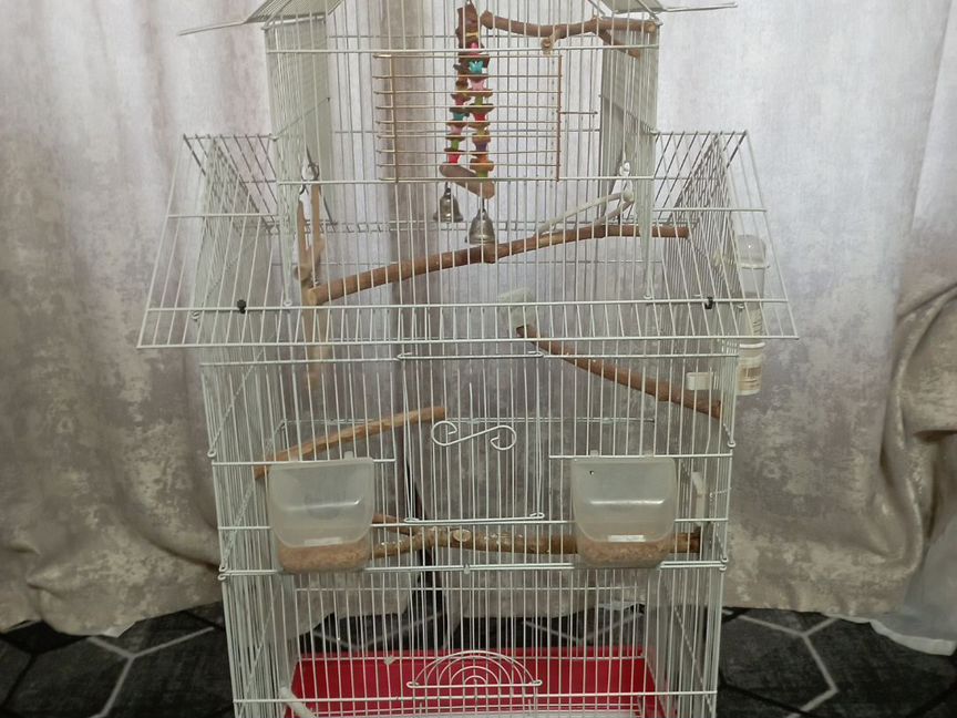 Попугай вместе с клеткой