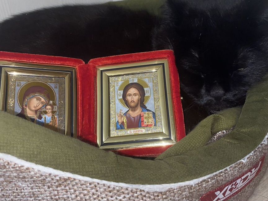 Православный кот