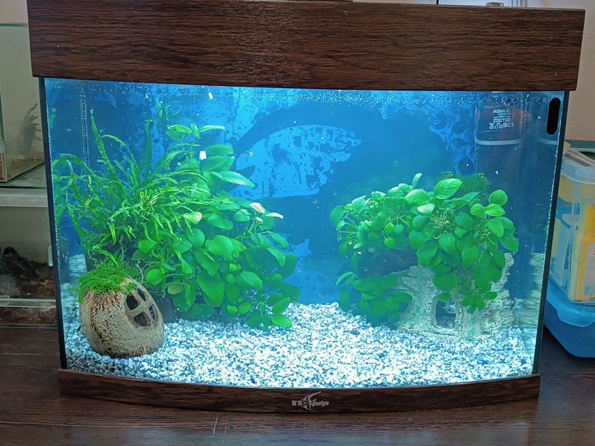 Аквариум 20 и 40л