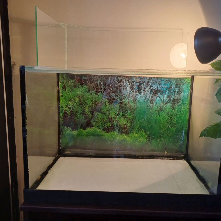 Аквариум 80 л