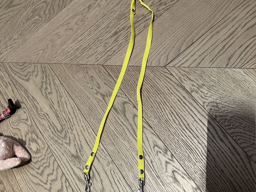 Сворка для двух собак