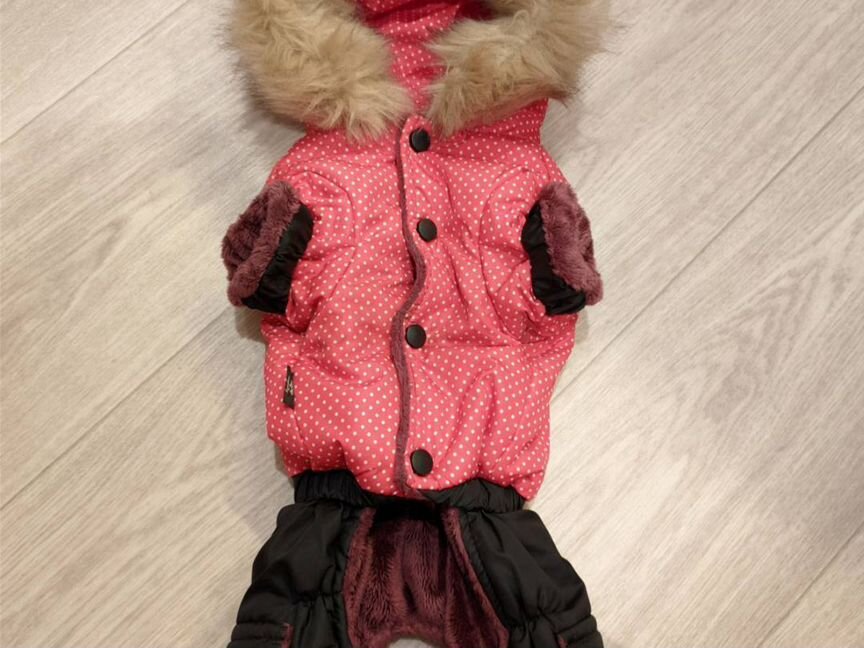 Зимний костюм для собак